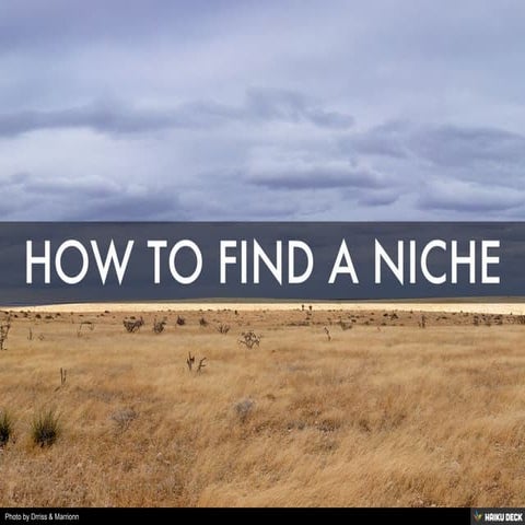 HOW TO FIND A NICHE | PDF