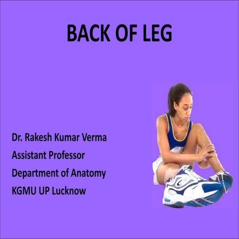 A-BACKOF_LEG-16-12-14 ppt.ppt