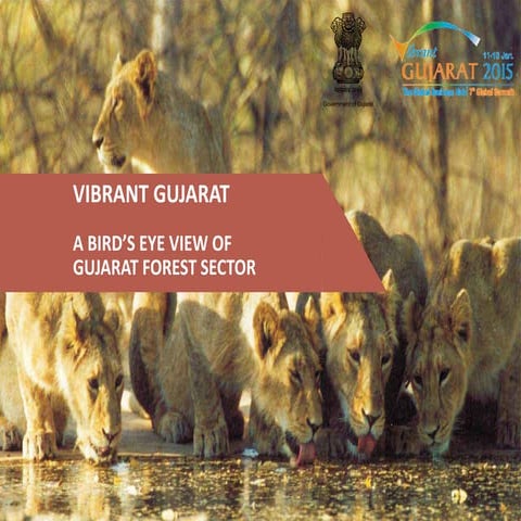 A Bird Eye View of Gujarat Forest Sector | PDF