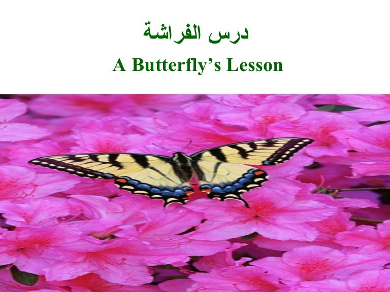 A Butterfly’s Lesson in arabic