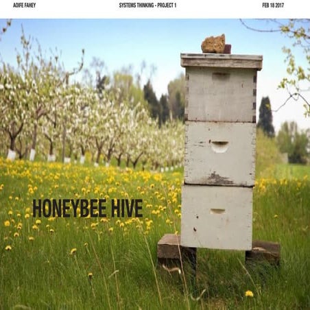 Systems Thinking - Honeybee | PDF