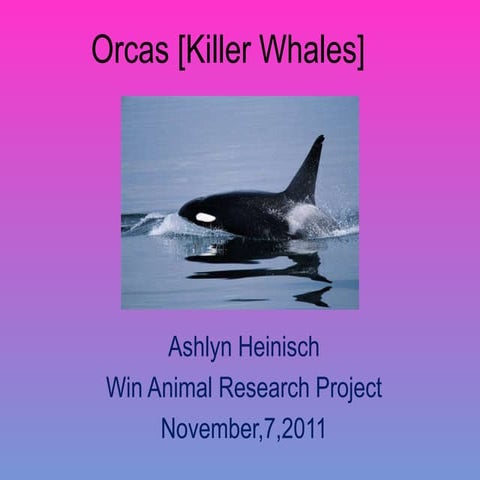 Presentation on angel shark | PPTX