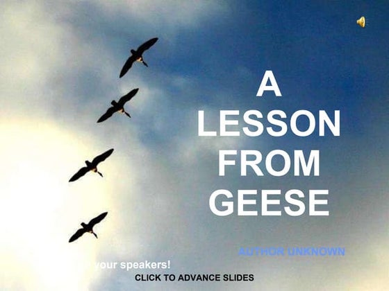 Leadership Lessons From Geese | PPT | Birdwatching | Hobbies & Interests