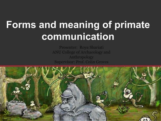 Primate social organization | PPT