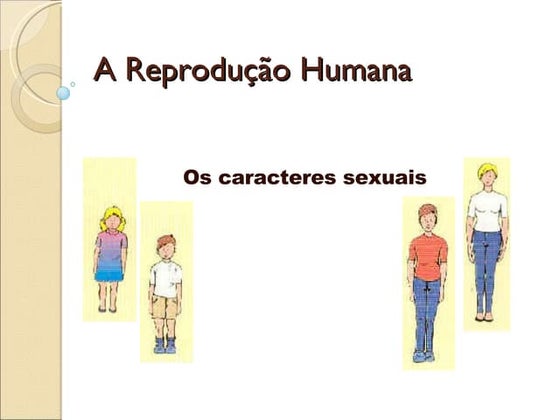 Puberdade | PPT