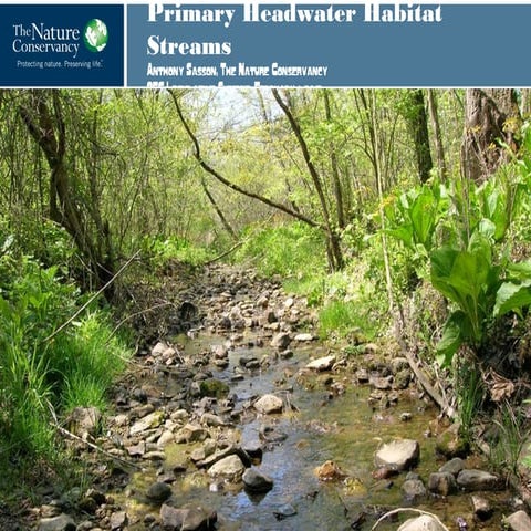 Primary Headwater Streams | PPT