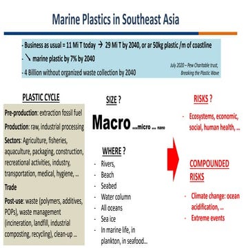 A Session 1- Youna Lyons - NUS | PDF