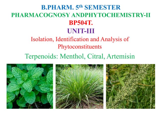 MENTHOL CRUDE DRUG ( pharmacognosy) .... | PDF