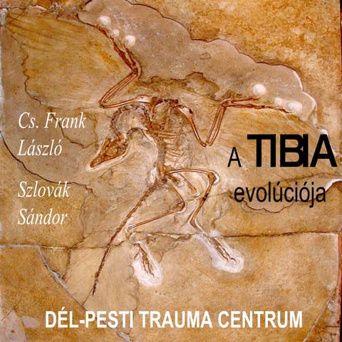 Evolution of tibia, power point | PPT