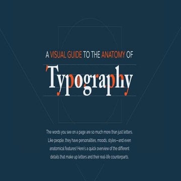 A Visual Guide to the Anatomy of Typography | PPT