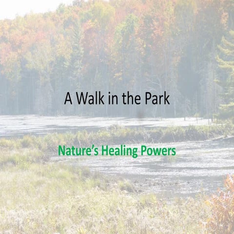 A Walk in the Park | PPT