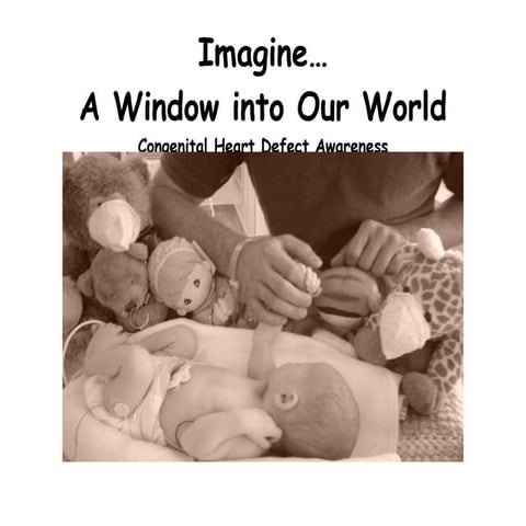 A Window Into Our World | PPT