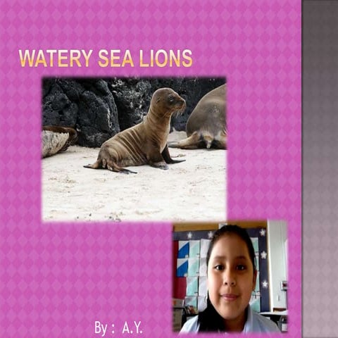 Sea Lions | PPTX