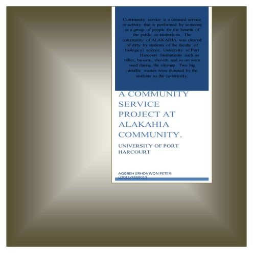 COMMUNITY SERVICE | DOCX