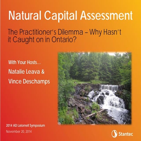 Lecture 1 The Concept of Natural Capital | PDF