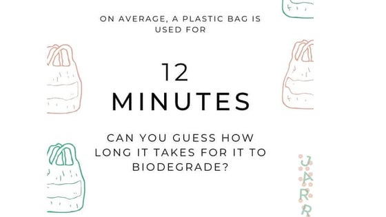 Single use plastic presentation | PPTX | Environment | Science