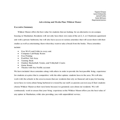 Advertising and Media Plan Paper | PDF