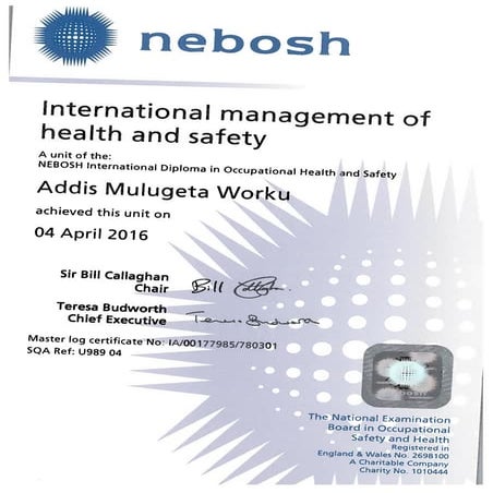 Nebosh Diploma | PDF