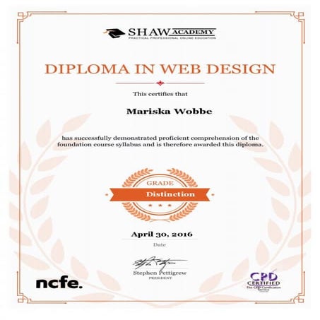 diploma Webdesign | PDF