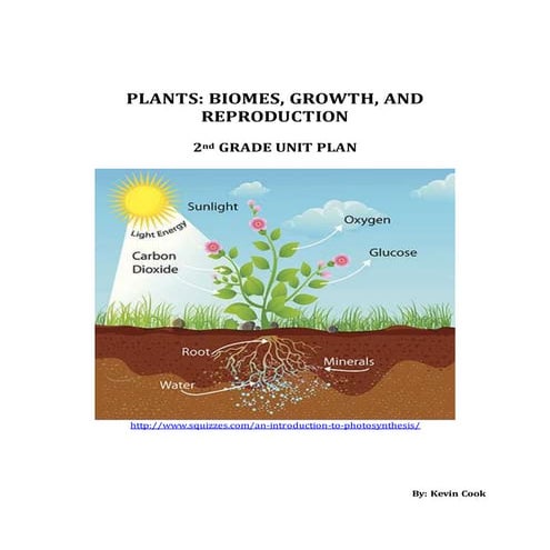 UNIT PLAN 495 | DOCX
