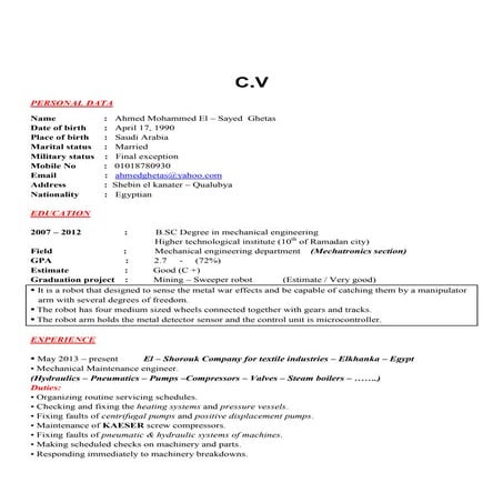 Professional CV | PDF