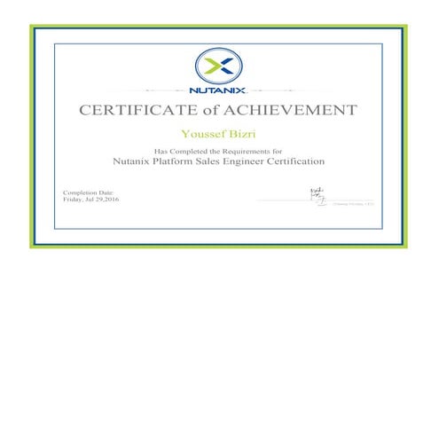 NPSE | PDF | Sales | Business