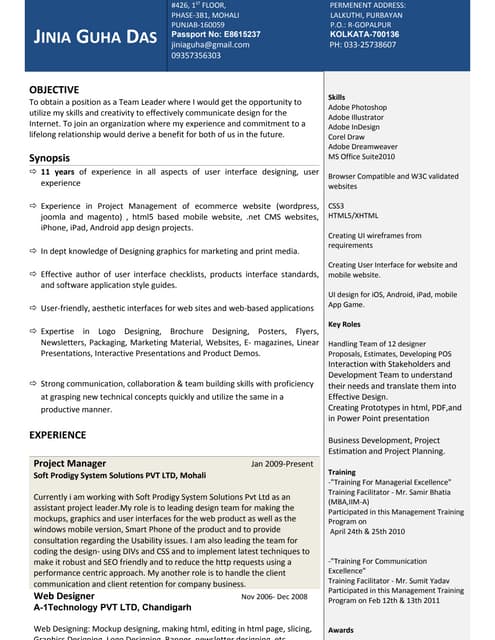 Mohsin shoukat cv | PDF