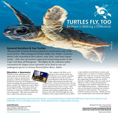 Sea Turtle Education Program Leslie Weinstein | PDF
