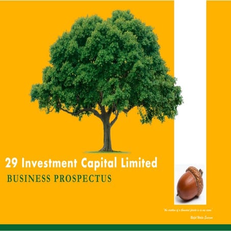 29 ICL Business Prospectus | PDF