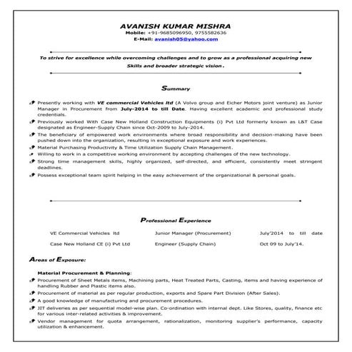 Vilma Resume | DOC