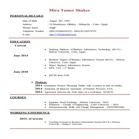 CV ( Mira Tamer) | PDF