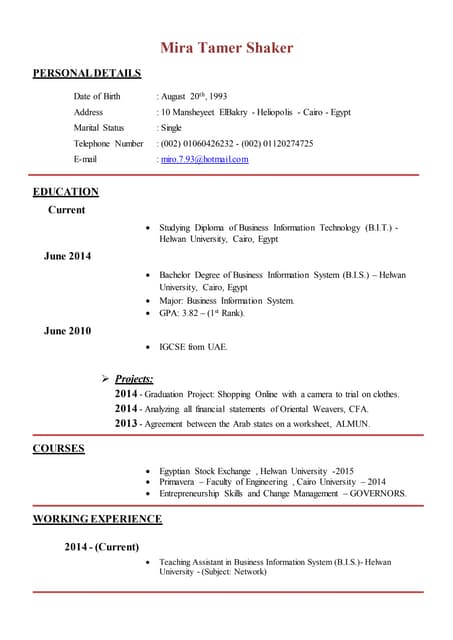 abdallah elfaramawy cv | PDF