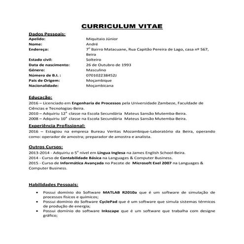 CURRICULUM VITAE (PORTUGUES) actual | PDF