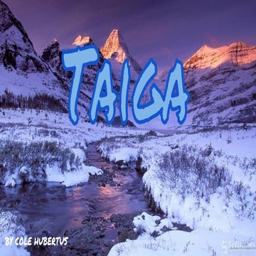 The Taiga Biome For educational and personal uses | PPTX