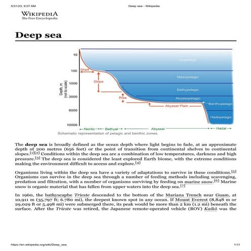 Adaptations in deep sea fishes | PPTX