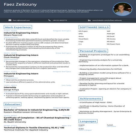 Faez's Mini CV | PDF