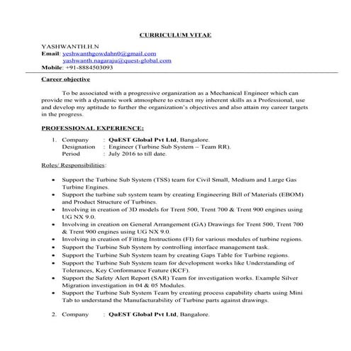 Nitin (Resume) | DOCX