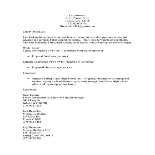 Luis Romero resume | DOC