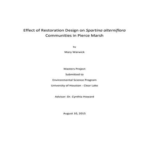 Masters Project | PDF