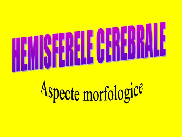 Sistemul Nervos îN Seria Vertebratelor | PPT