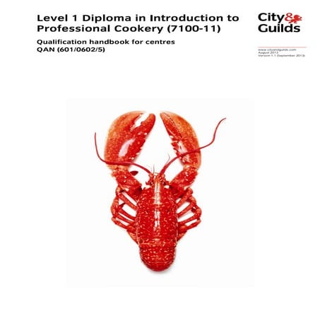 7100-11_Level_1_Diploma_Qualification_handbook_v1-1 | PDF