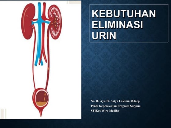Anatomi Sistem Urinaria | PPT