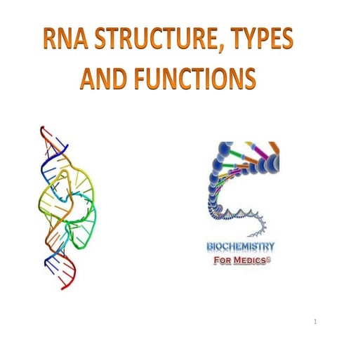 Tertiary Structure Of Rna