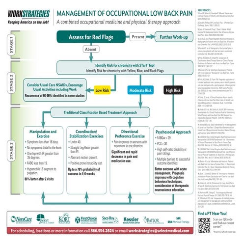 Risk Stratification of Occ Low Back Pain | PDF