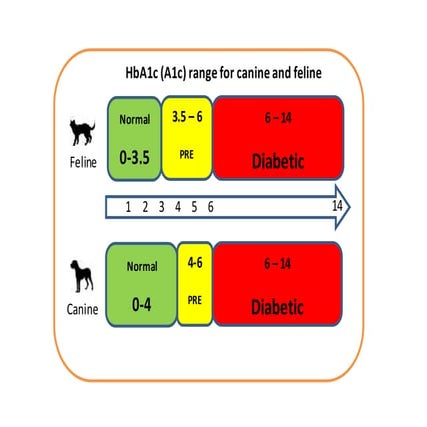 A1c levels charts canine and feline | DOCX