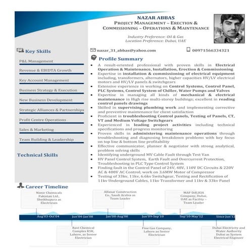 Nazar Abbas CV | DOC