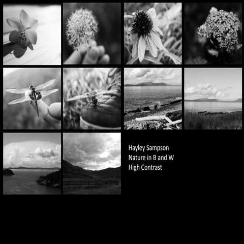 A1 presentation | PPT