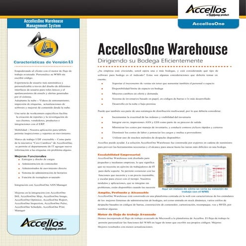 WMS Solution to Logistics | PDF