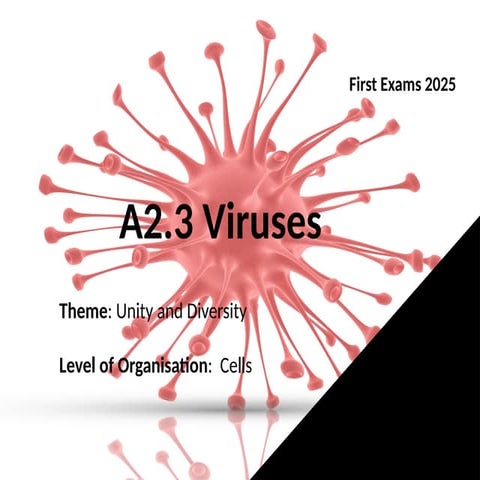 A2.3-Viruses-(HL-Onl.y).pptx DP Biology ppt | PPTX