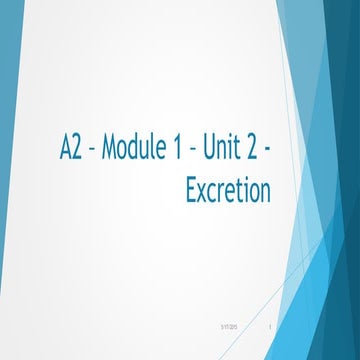 A2 - Unit 4 - Module 2 - OCR - Excretion - All Notes Final | PPTX